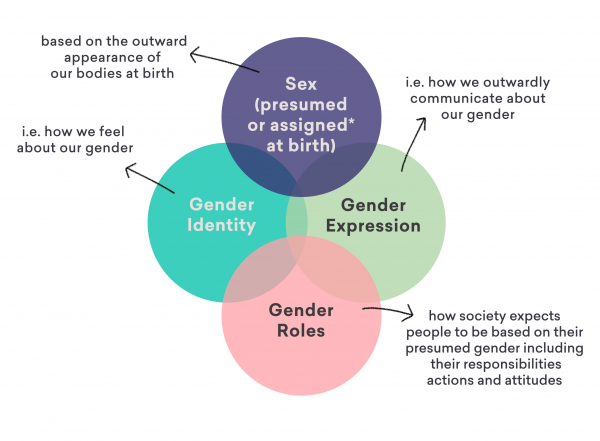 Gender and Sexual Diversity 101 - SHINE SA