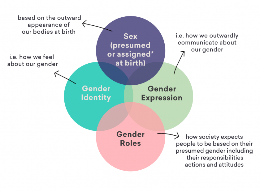 Gender and Sexual Diversity 101 - SHINE SA