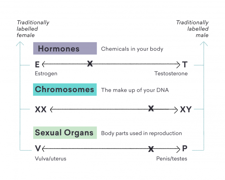 Gender and Sexual Diversity 101 - SHINE SA