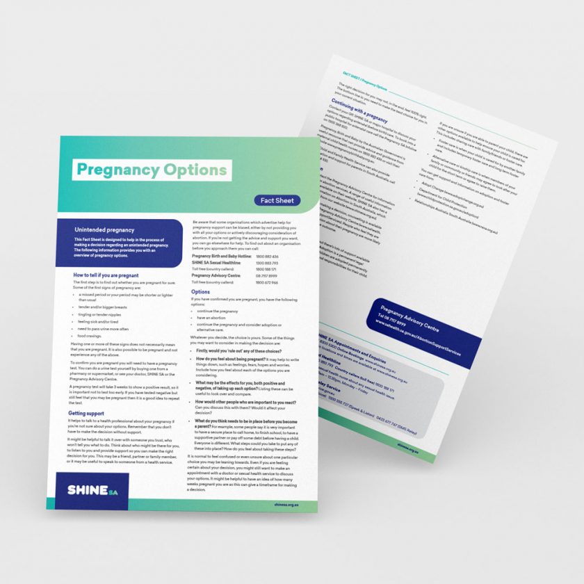 Digital Fact Sheets - SHINE SA